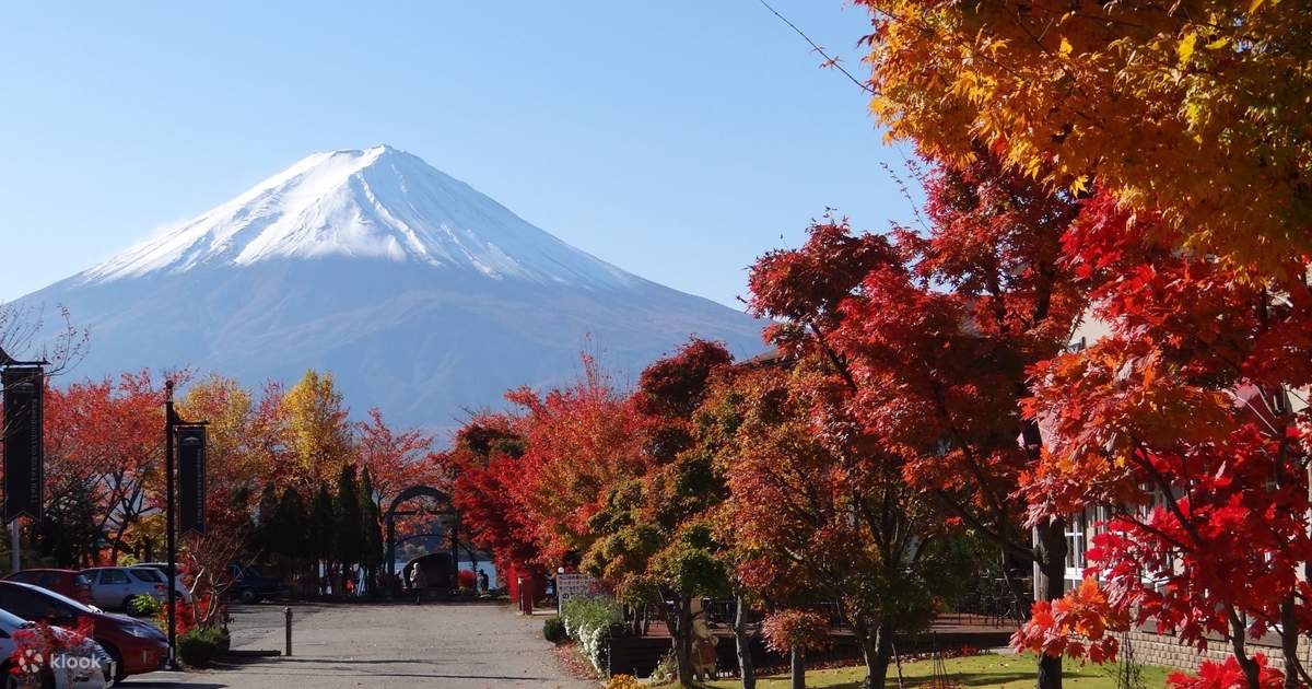 [One-day Autumn Maple Viewing Tour of Mount Fuji] Lake Kawaguchi Maple Leaf Corridor & Japan’s ...